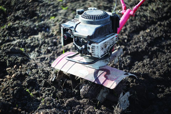 How to Separate Rocks from Dirt and Sow Success - Grit